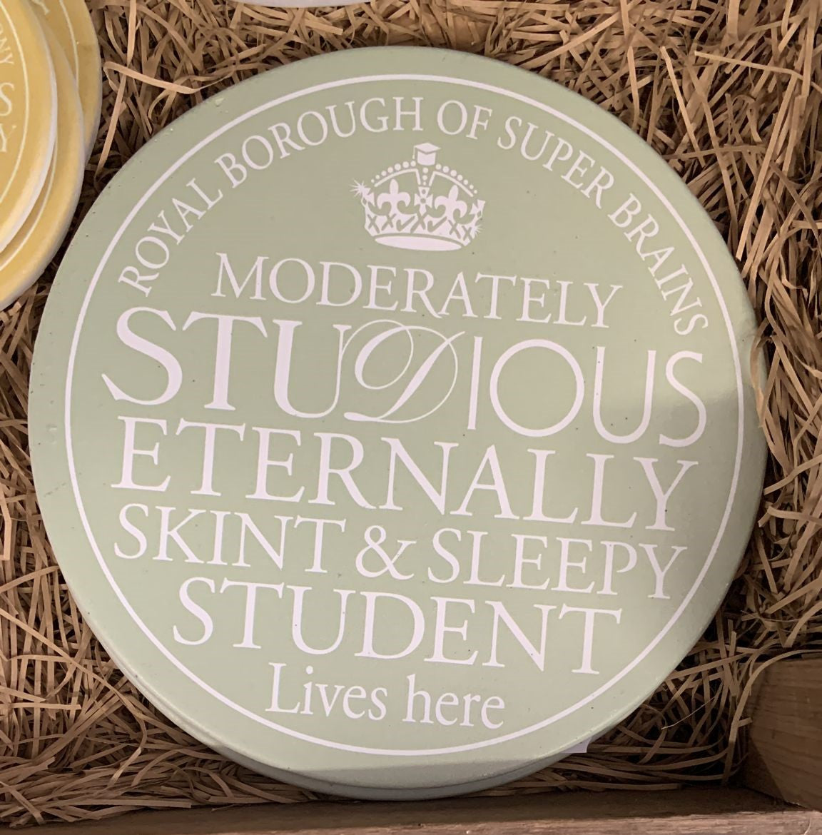 Skint & Sleepy Student lives here - Sign Round